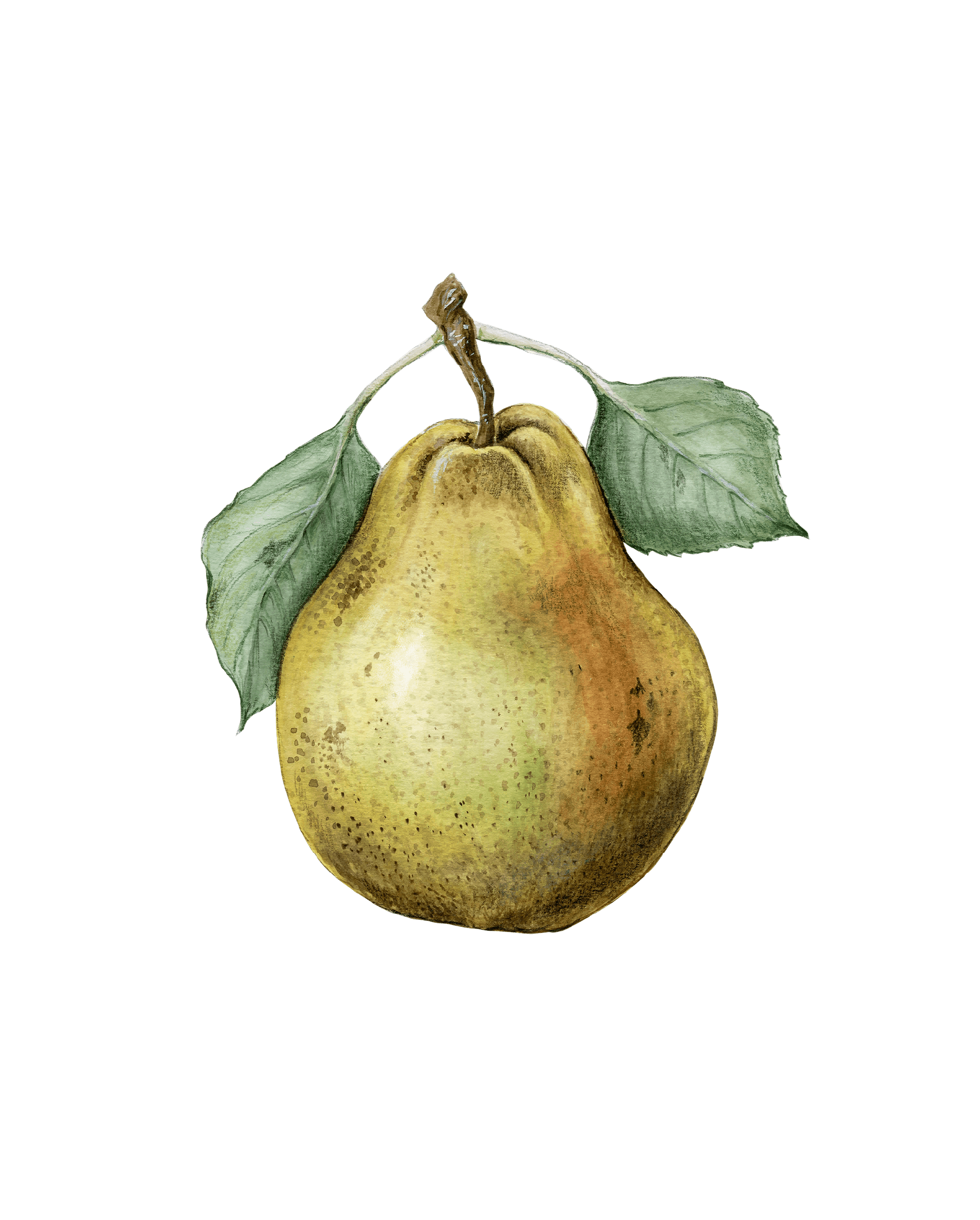 Pera – Alpe Pragas